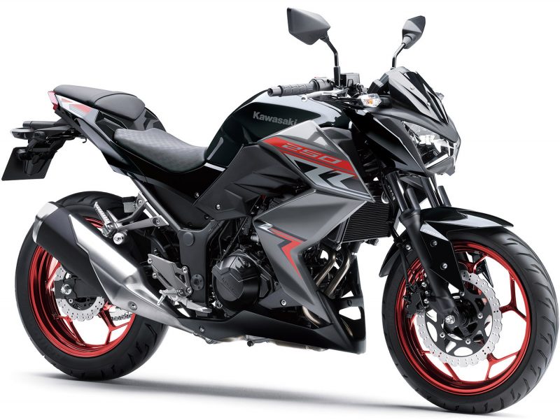 KAWASAKI Z 249 ABS Kavirkawasaki kawasaki-z-249-abs-kavirkawasaki